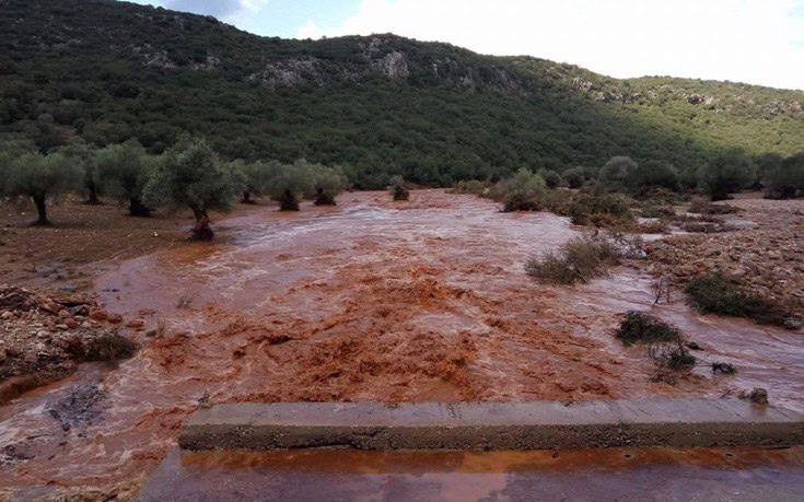 Μαρτυρία ΣΟΚ εγκλωβισμένου στο Lidl από τις πλημμύρες! - Ειδήσεις και ...